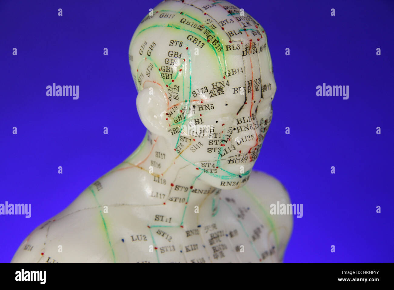 Acupuncture Body Model High Resolution Stock Photography and Images - Alamy