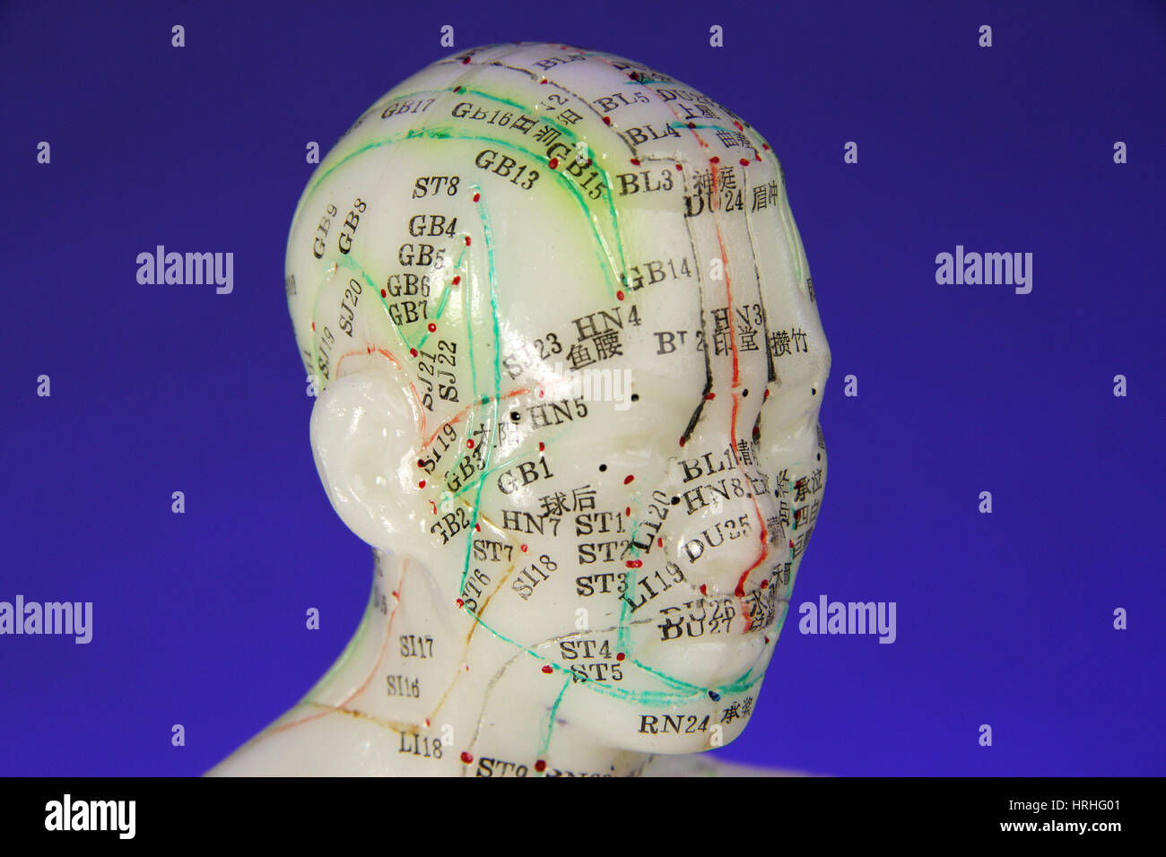 Acupuncture body model hi-res stock photography and images - Alamy
