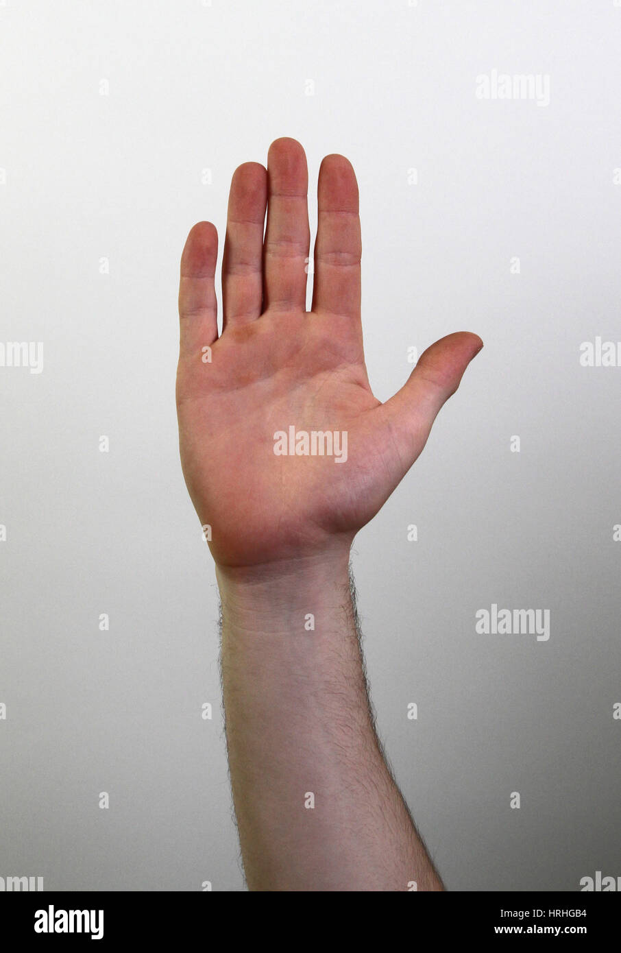 Palm of hand Stock Photo - Alamy