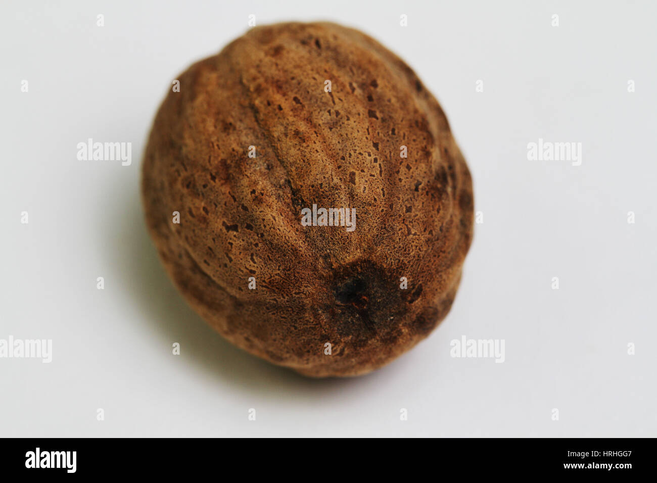 Nutmeg Seed Kernel Stock Photo - Alamy