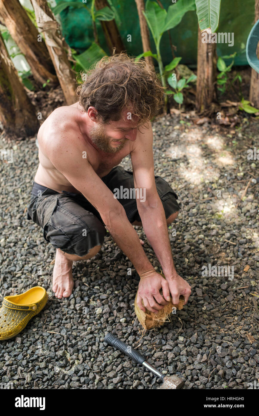 Opening a fresh coconut hi-res stock photography and images - Alamy