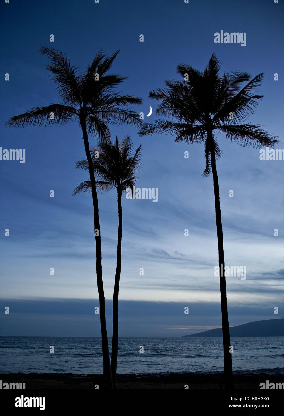 Moon, Three Palms, Maui, Hawaii Stock Photo - Alamy