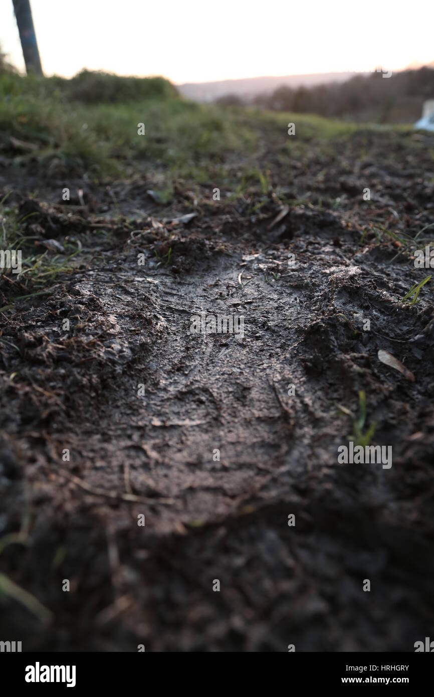 Footprint in mud hi-res stock photography and images - Alamy