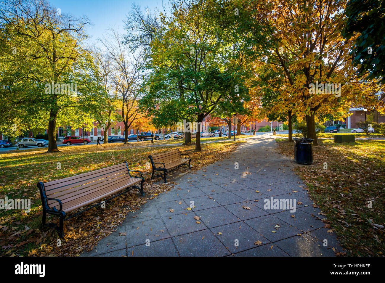 Benches and walkway with autumn color at Union Square, in Baltimore ...