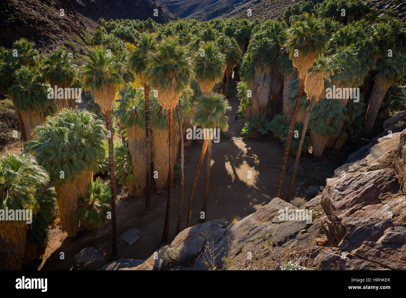 Indian Canyons High Resolution Stock Photography and Images - Alamy