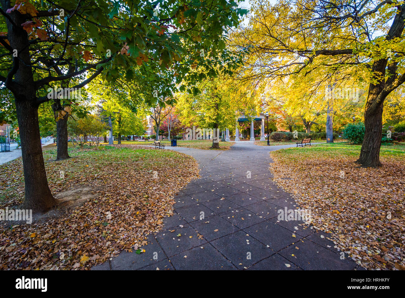 Walkway and autumn color at Union Square, in Baltimore, Maryland Stock ...