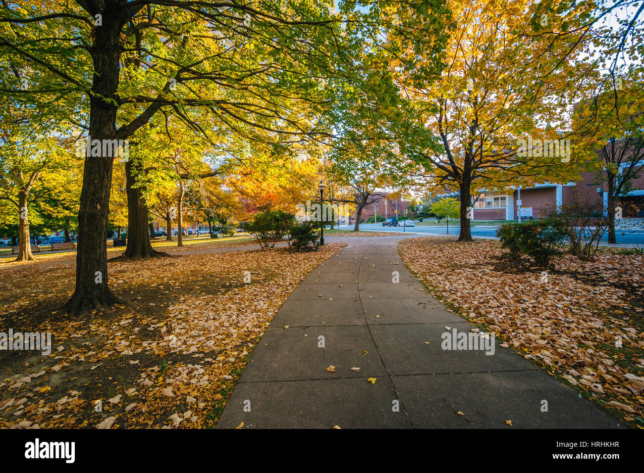 Autumn color and walkway at Union Square, in Baltimore, Maryland Stock ...