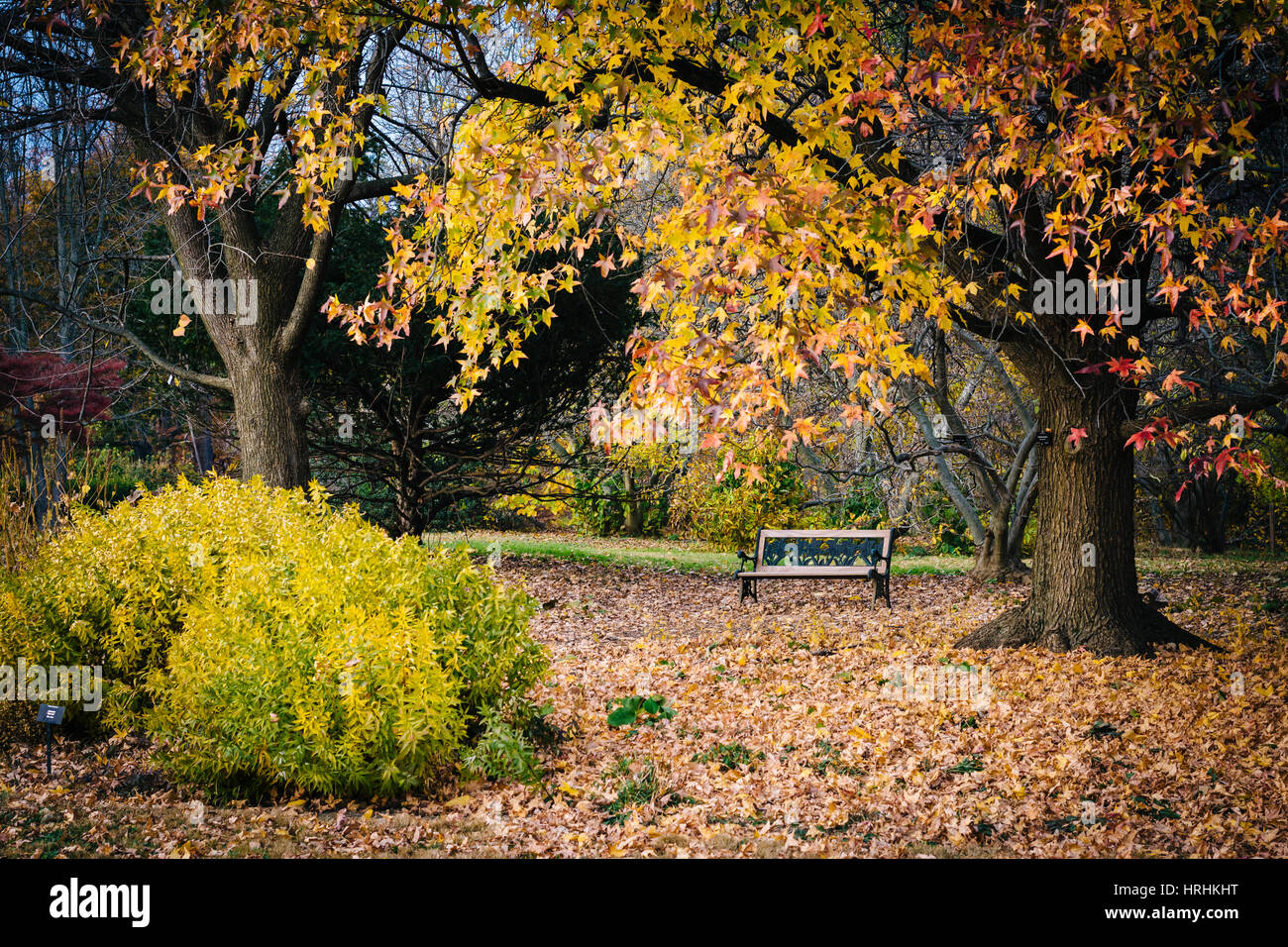 Baltimore arboretum hi-res stock photography and images - Alamy