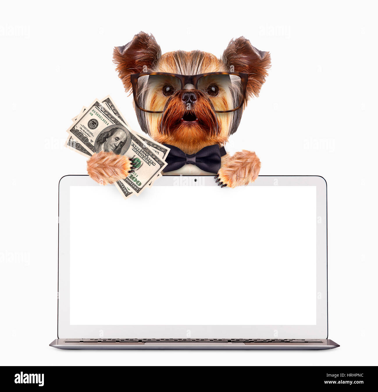 Business man behind screen Cut Out Stock Images & Pictures - Alamy