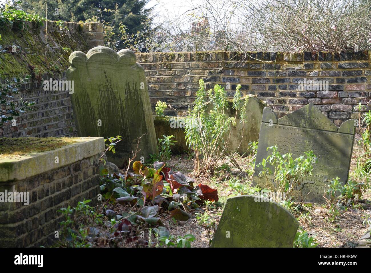 Hampstead cemetery hi-res stock photography and images - Alamy