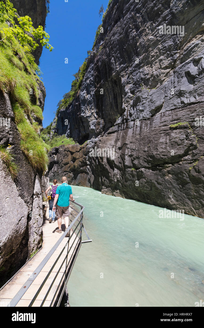 Hikers on walkways admire the creek through the limestone gorge, Aare ...
