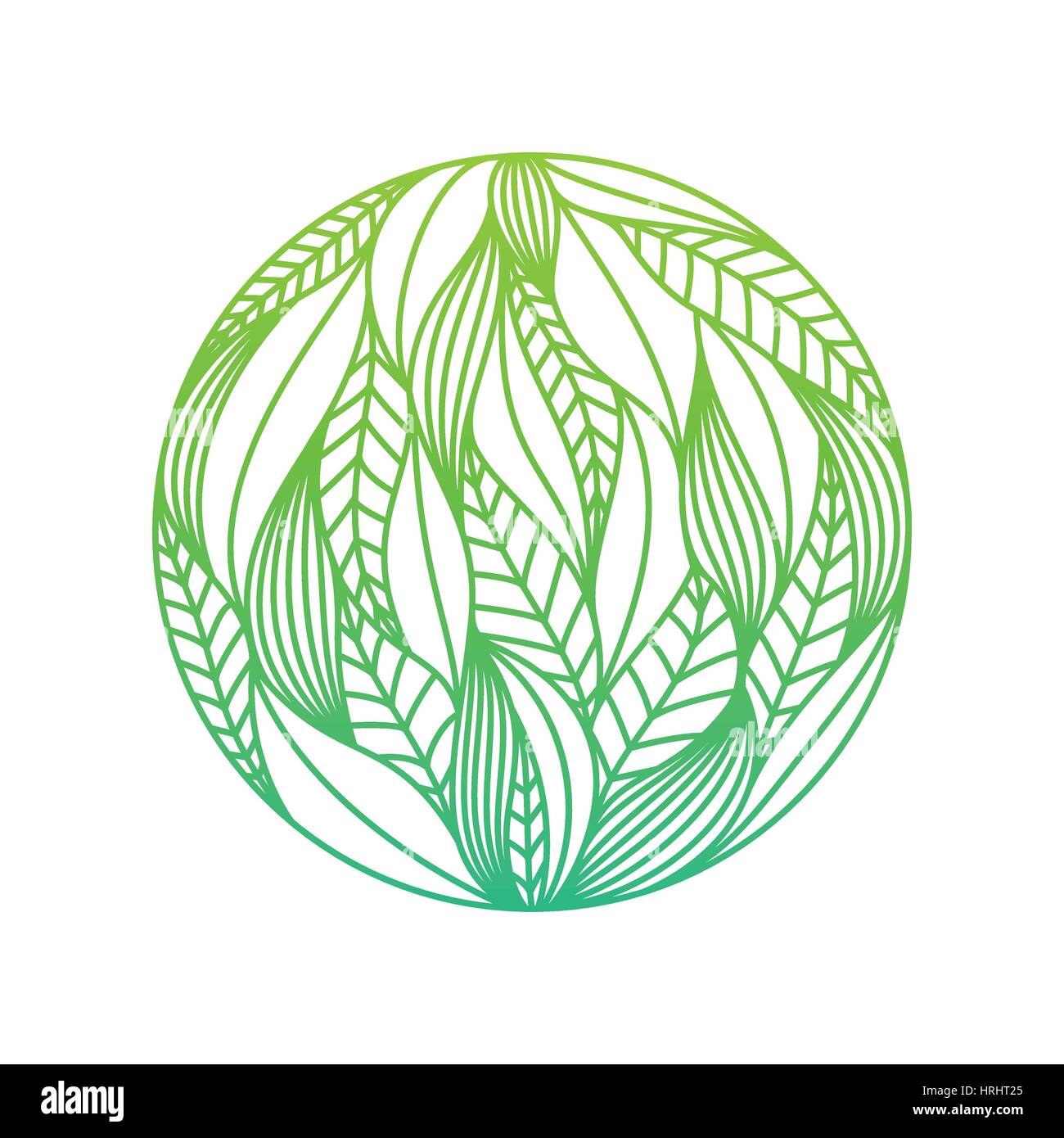 Round composition made of green gradient linear leaves on white ...