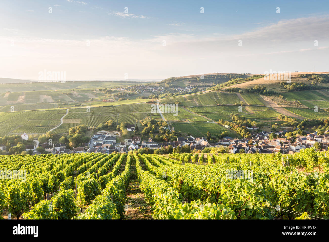 The vineyards of Sancerre above Chavignol, Cher, Centre, France Stock ...