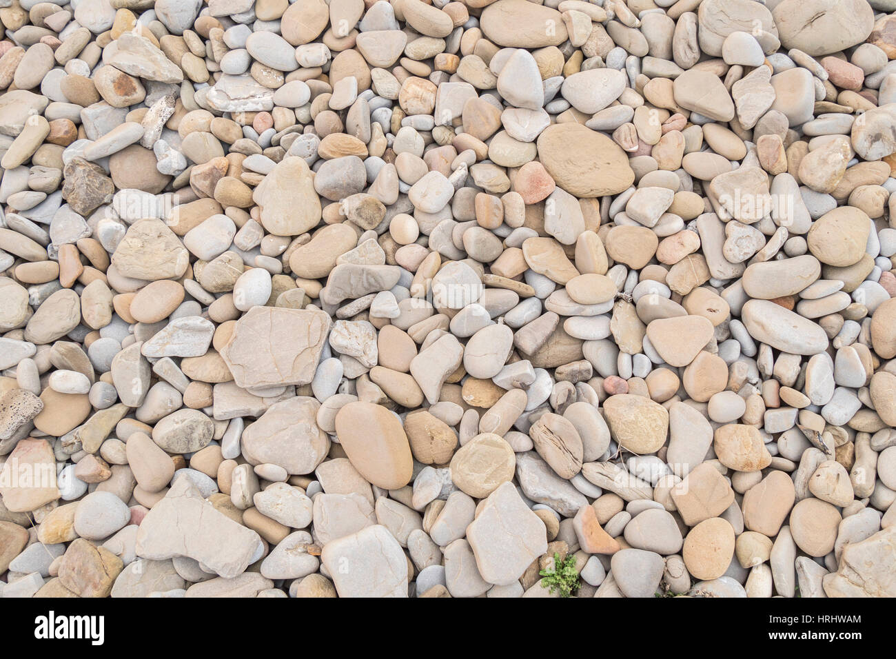 Large amount rounded and polished beach rocks Stock Photo - Alamy