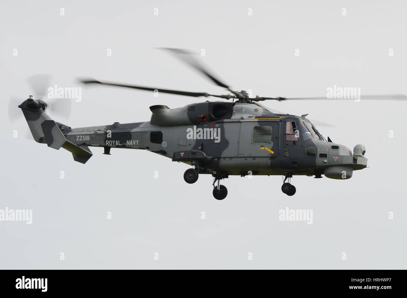 Royal navy wildcat helicopter hi-res stock photography and images - Alamy
