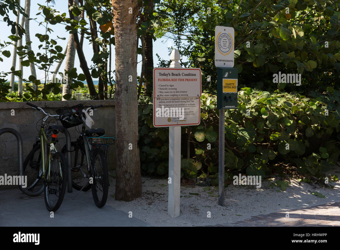 Florida red tide hi-res stock photography and images - Alamy
