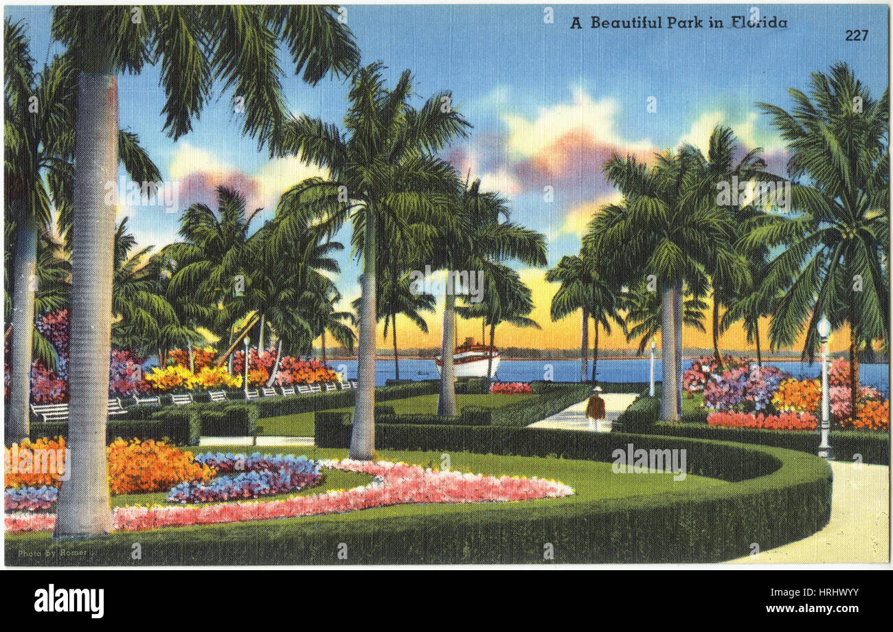 A beautiful park in Florida Stock Photo - Alamy