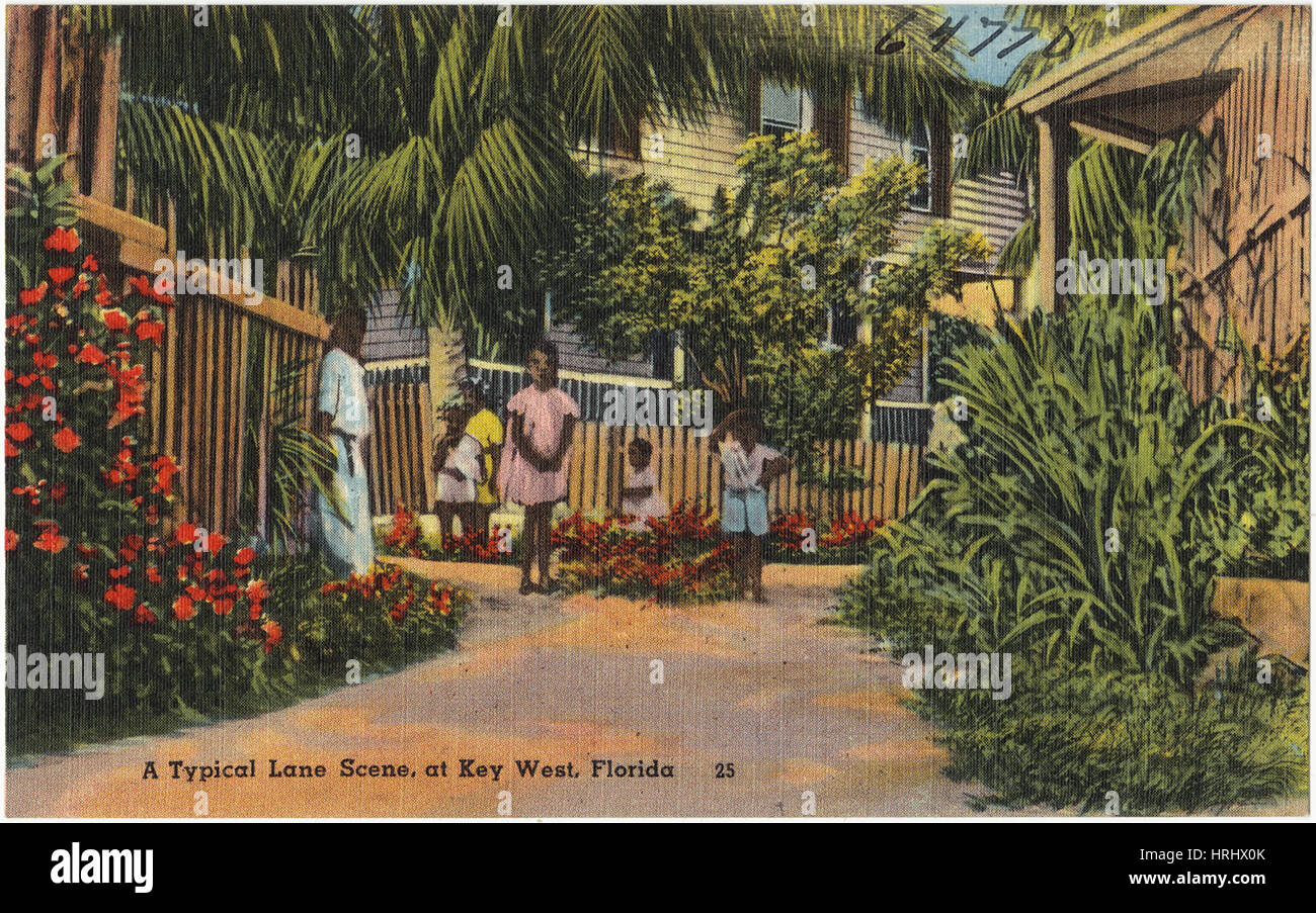 A typical lane scene, at Key West, Florida Stock Photo - Alamy