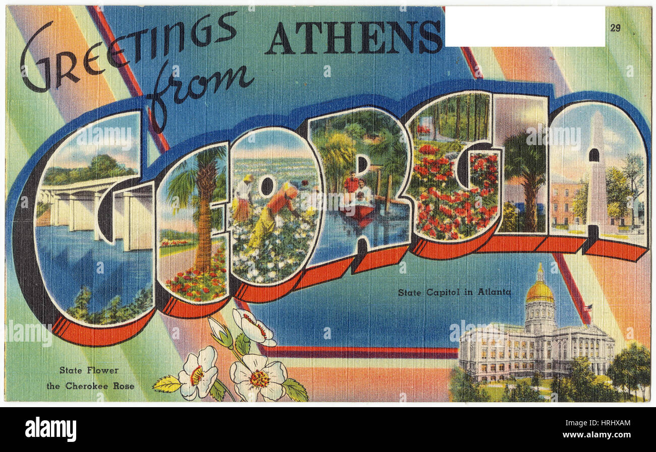 Georgia - Greetings from Athens Georgia -- state flower the Cherokee ...