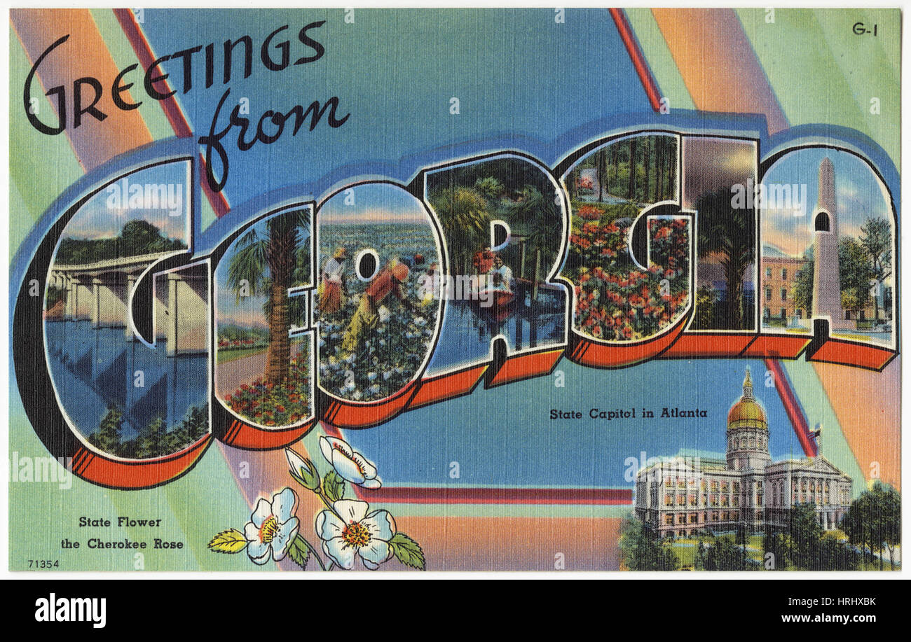 Georgia - Greetings from Georgia -- state flower the Cherokee Rose ...