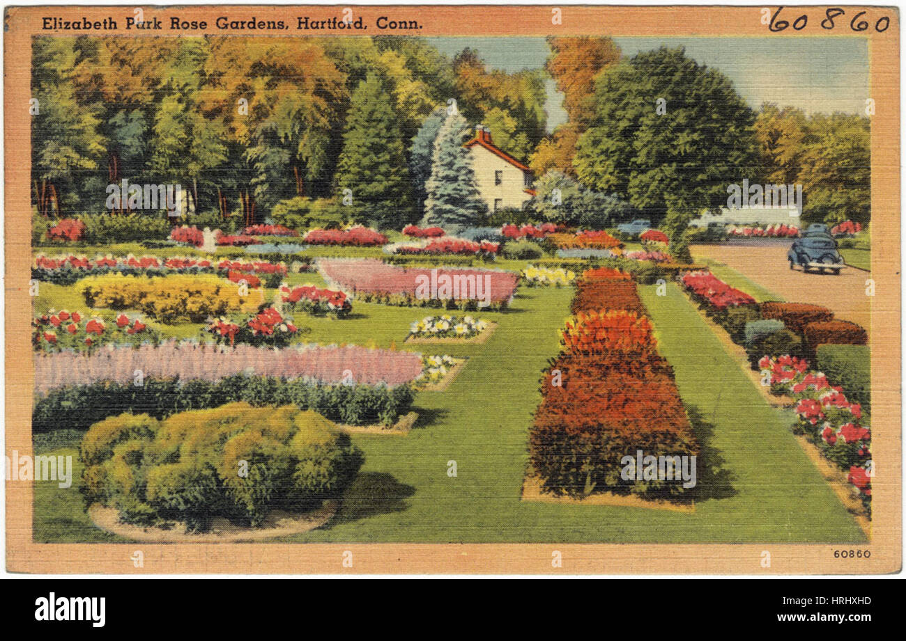 Elizabeth park rose gardens hi-res stock photography and images - Alamy