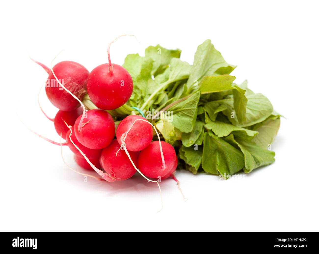 bunch of radish isolated on white background Stock Photo - Alamy