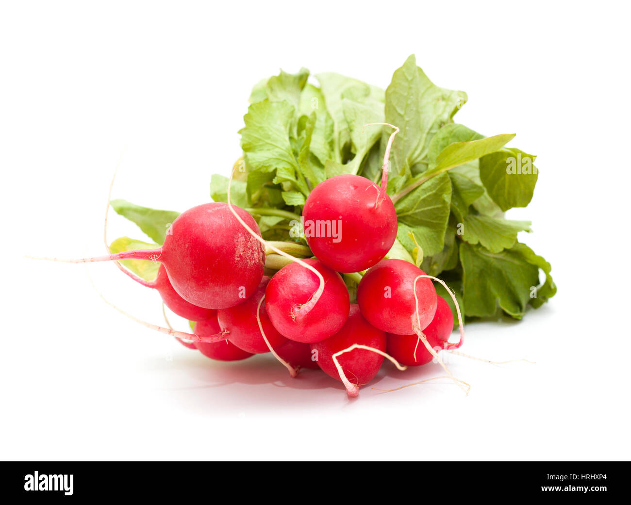 bunch of radish isolated on white background Stock Photo - Alamy