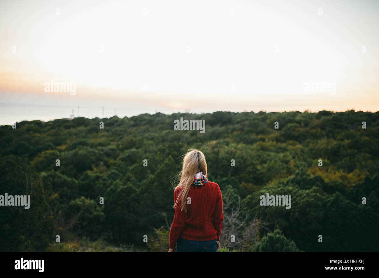 Blonde female rear view High Resolution Stock Photography and Images ...