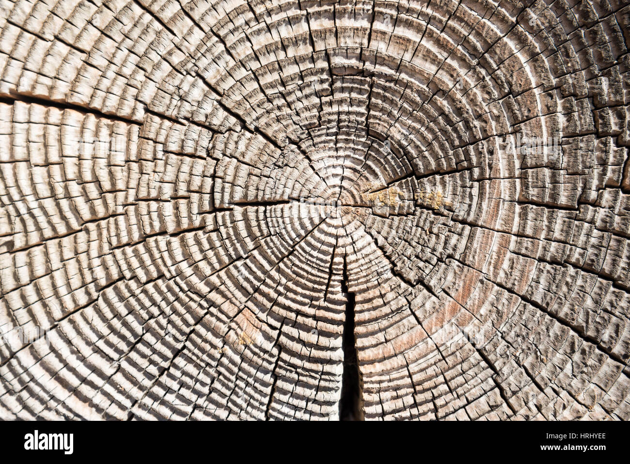 aged wood texture Stock Photo - Alamy