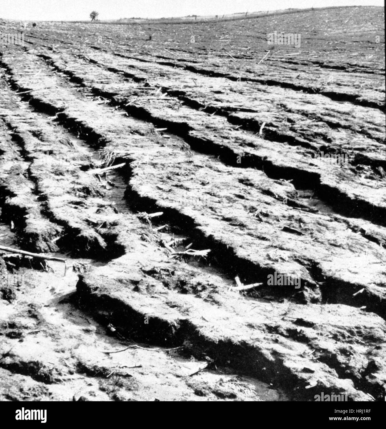 Manhandled Land, Dust Bowl, 1938 Stock Photo - Alamy