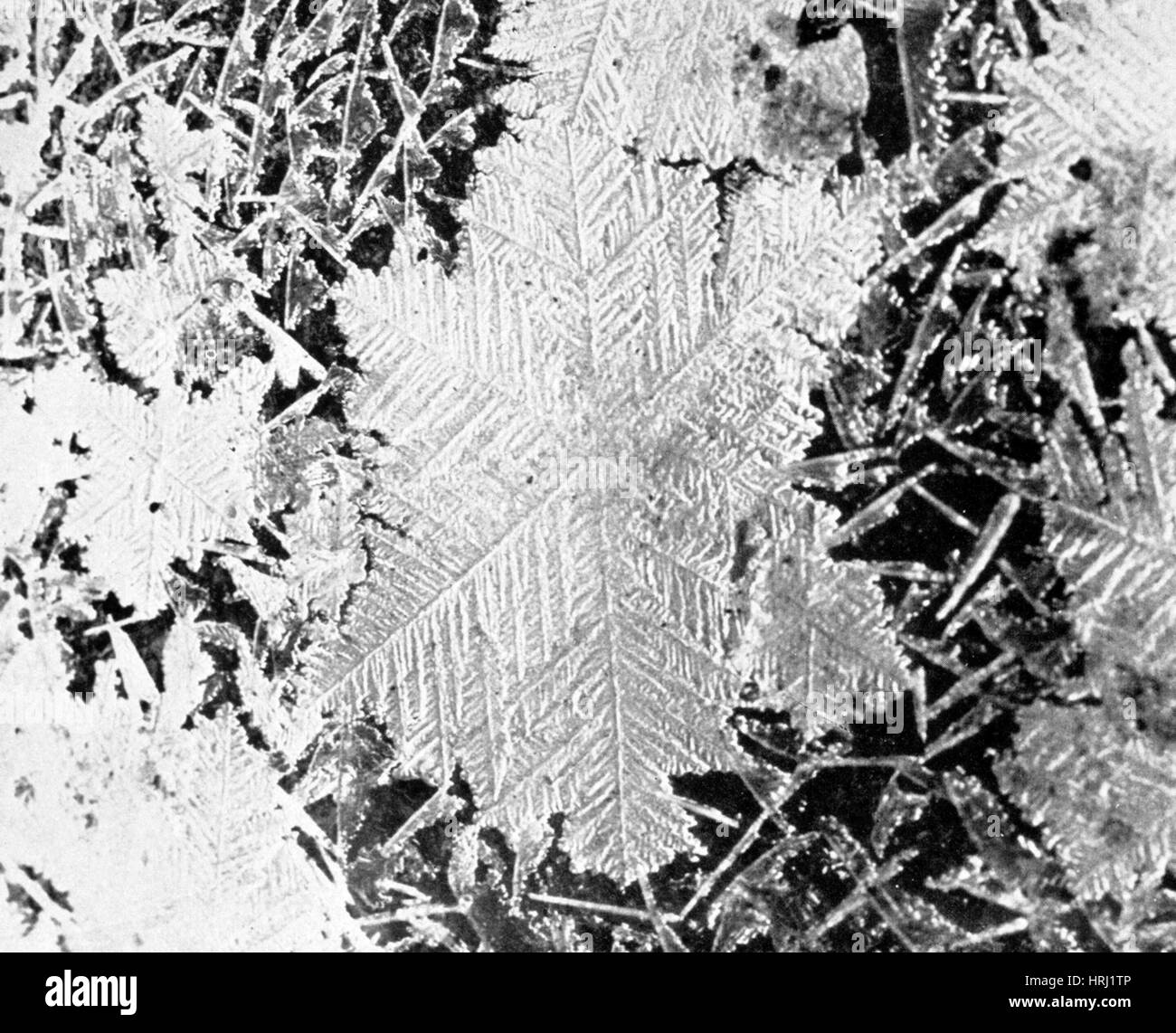 Hexagonal ice crystals Black and White Stock Photos & Images - Alamy
