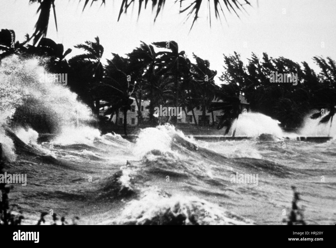 Cyclone Black And White