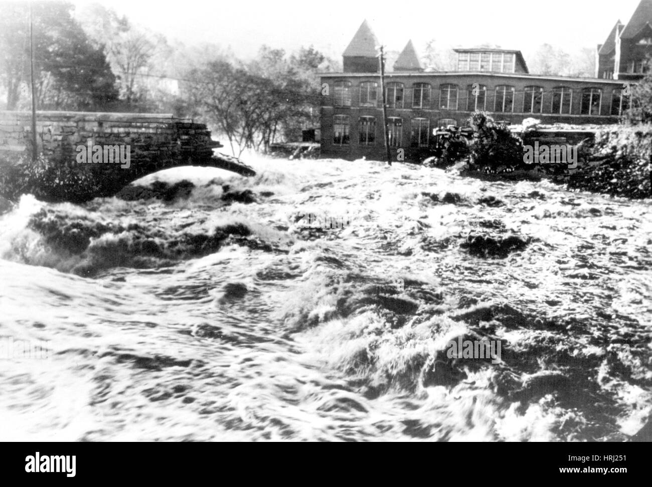 Flood Black And White