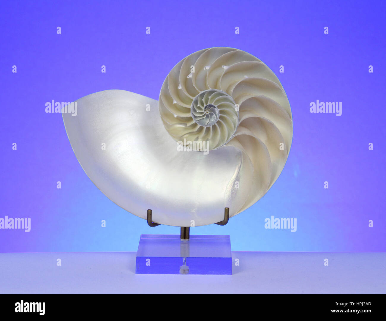 Logarithmic hi-res stock photography and images - Alamy