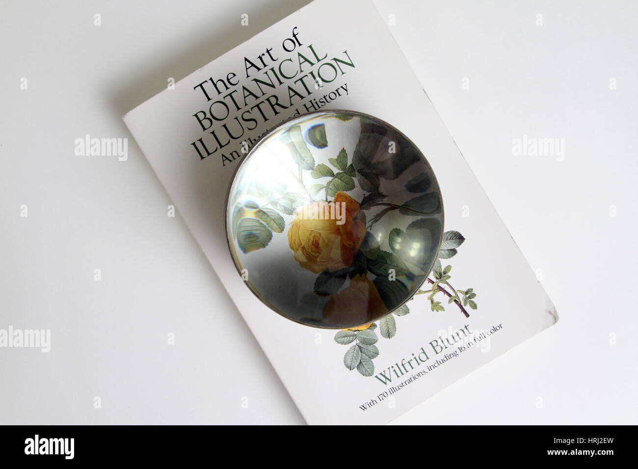 Magnifying a Book Cover Stock Photo - Alamy