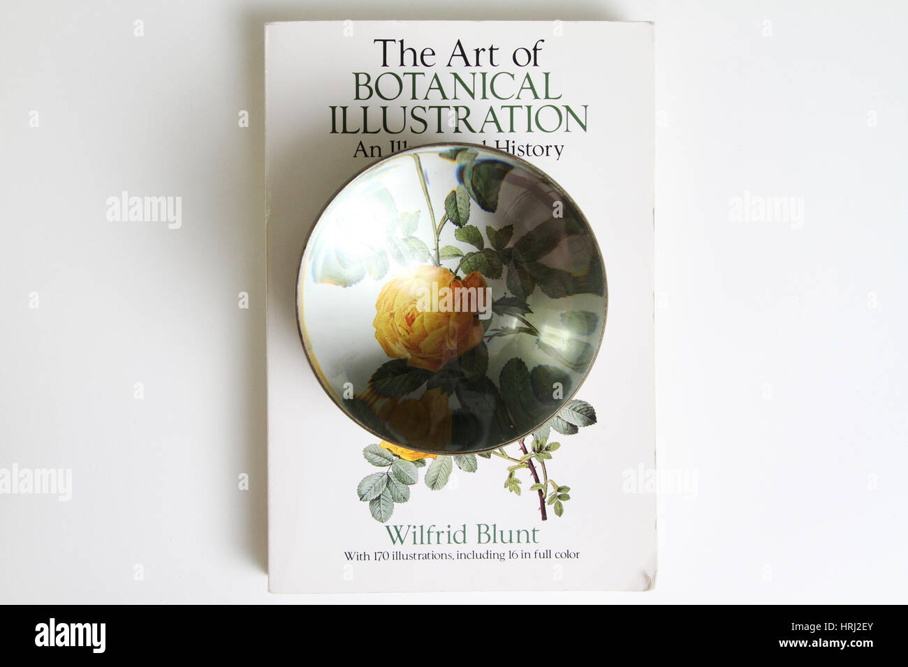 Magnifying a Book Cover Stock Photo - Alamy