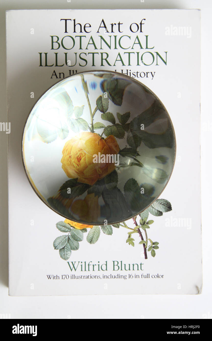 Magnifying a Book Cover Stock Photo - Alamy