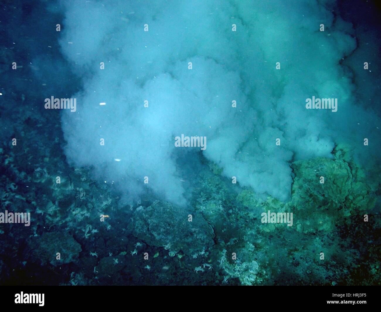 Marine hydrothermal vent hi-res stock photography and images - Alamy