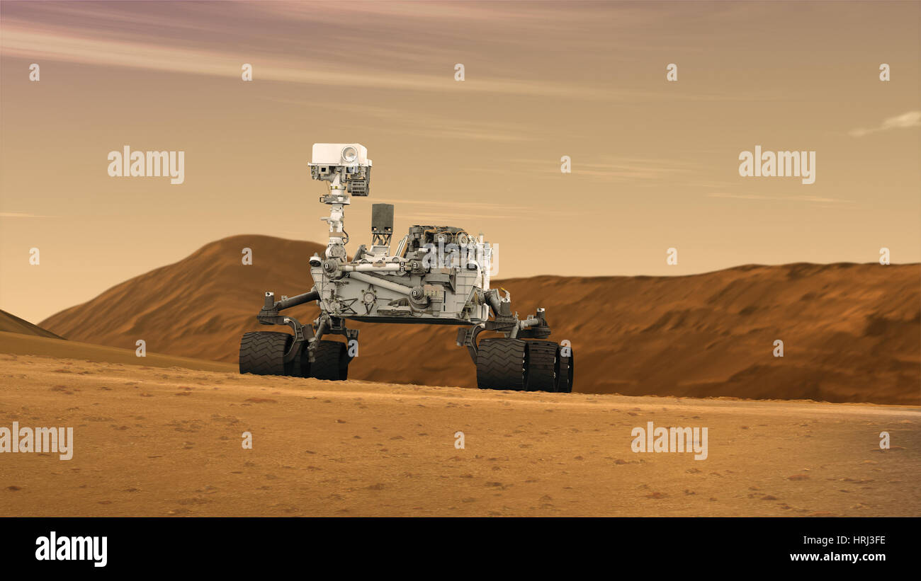 Mars Rover Curiosity Cat