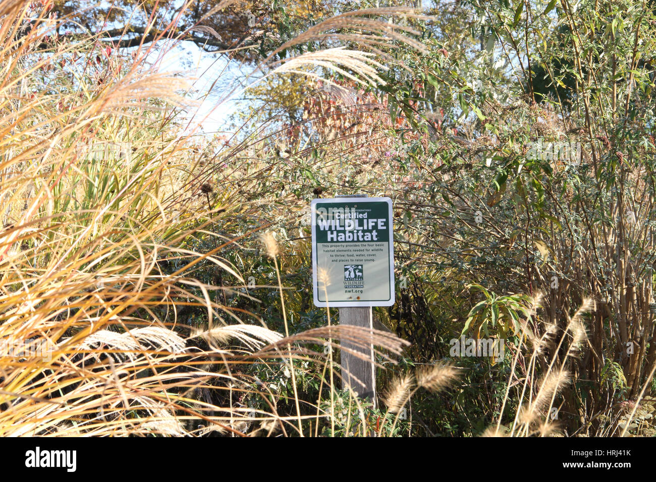 Habitat elements hi-res stock photography and images - Alamy
