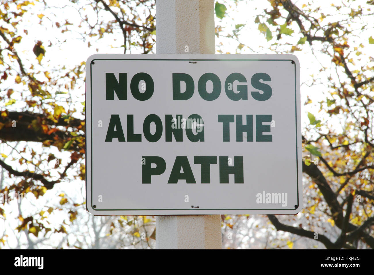 Restrict dogs hi-res stock photography and images - Alamy