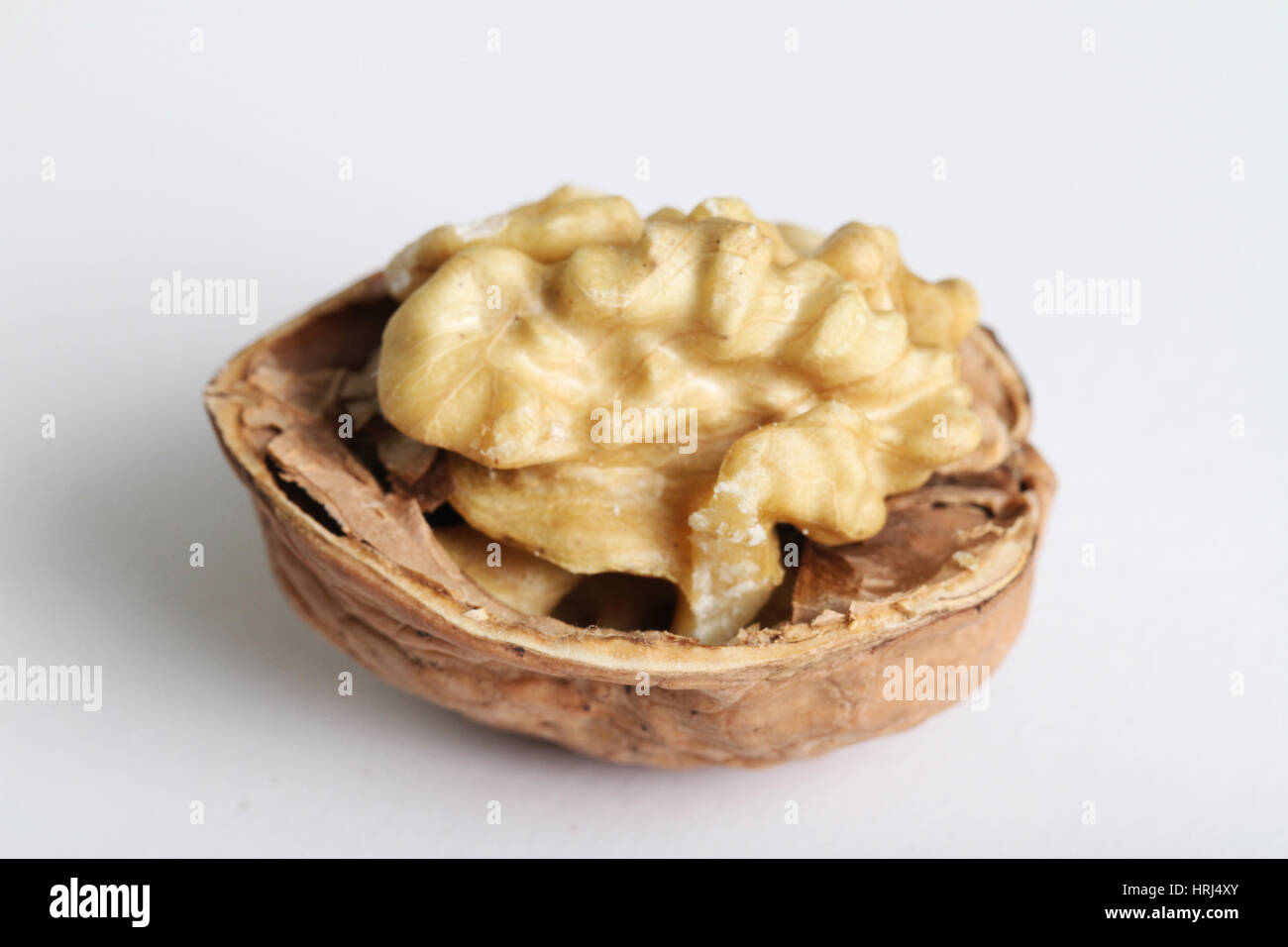An Organic Walnut Stock Photo - Alamy