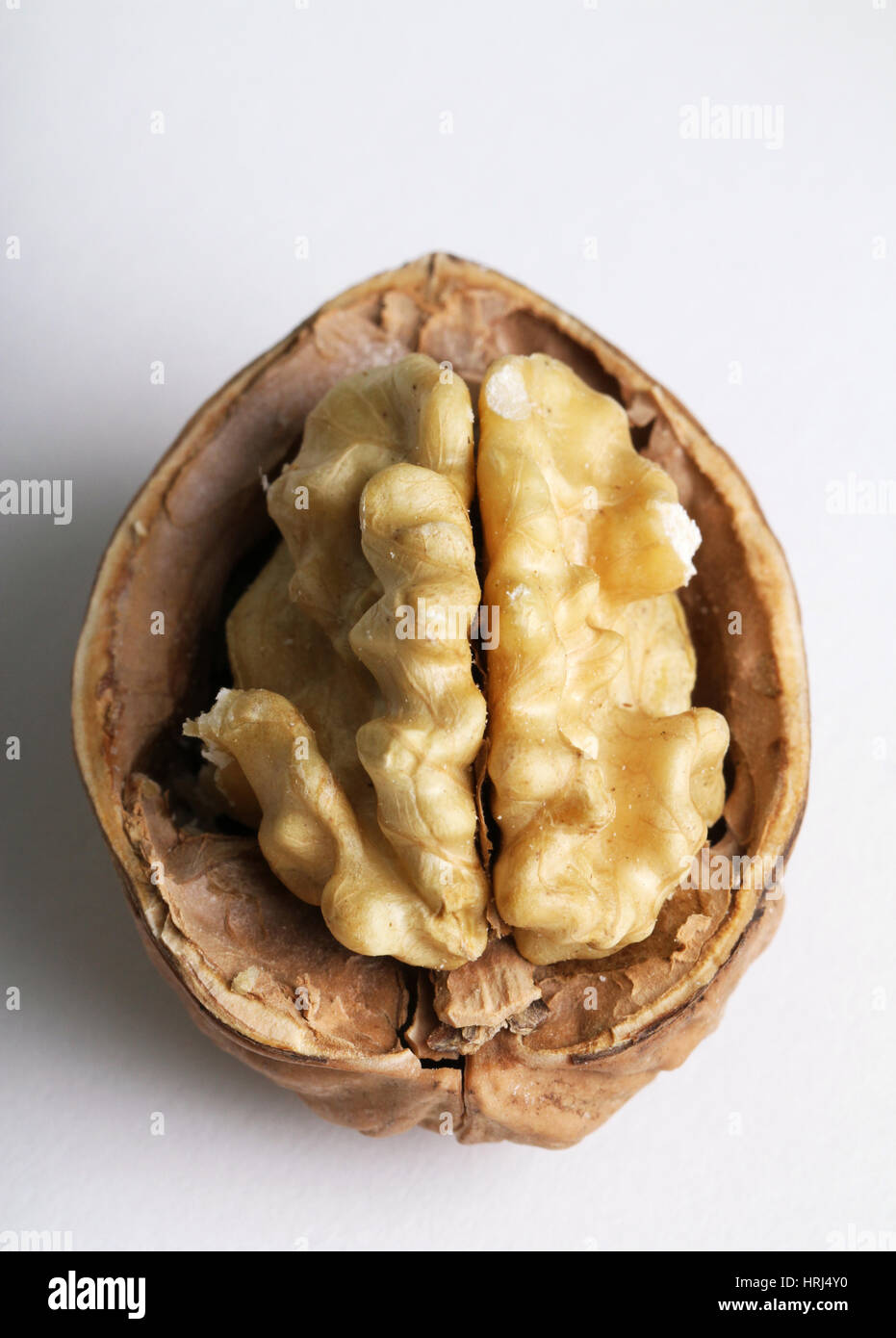 Walnut juglans sp hi-res stock photography and images - Alamy