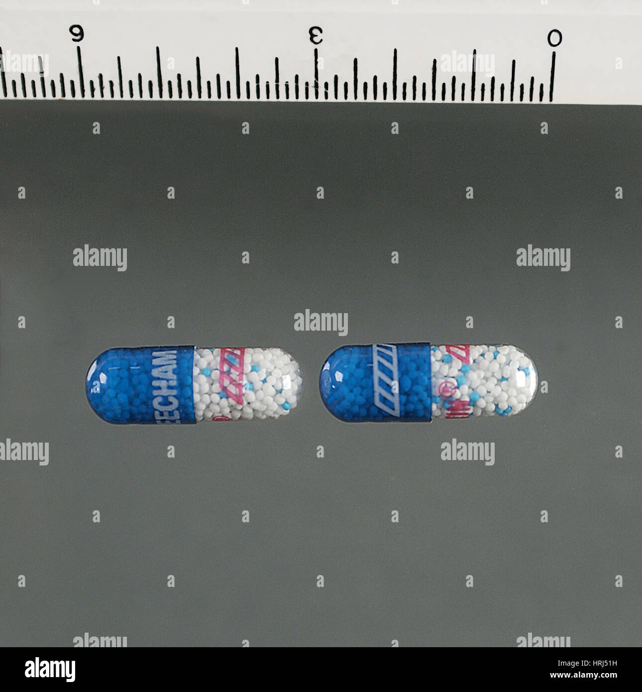 Fastin, Weight Loss Capsules Stock Photo - Alamy