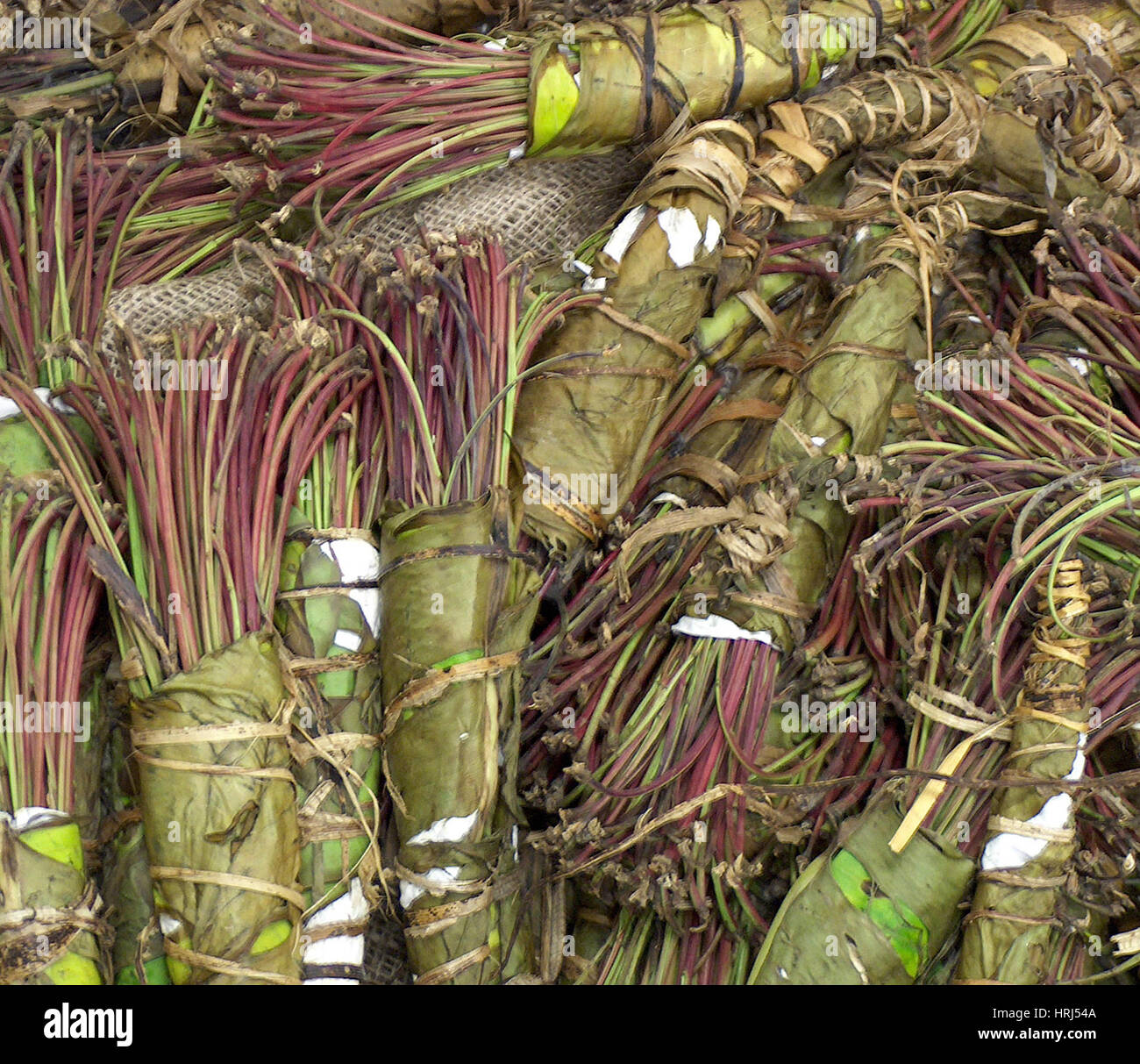 Miraa hi-res stock photography and images - Alamy