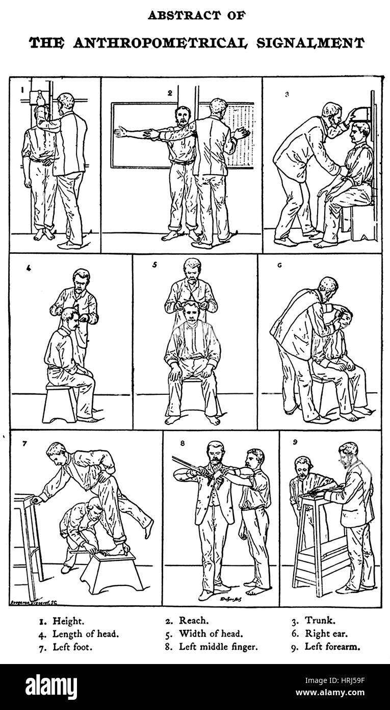 The Anthropometrical Signalment, 1896 Stock Photo - Alamy