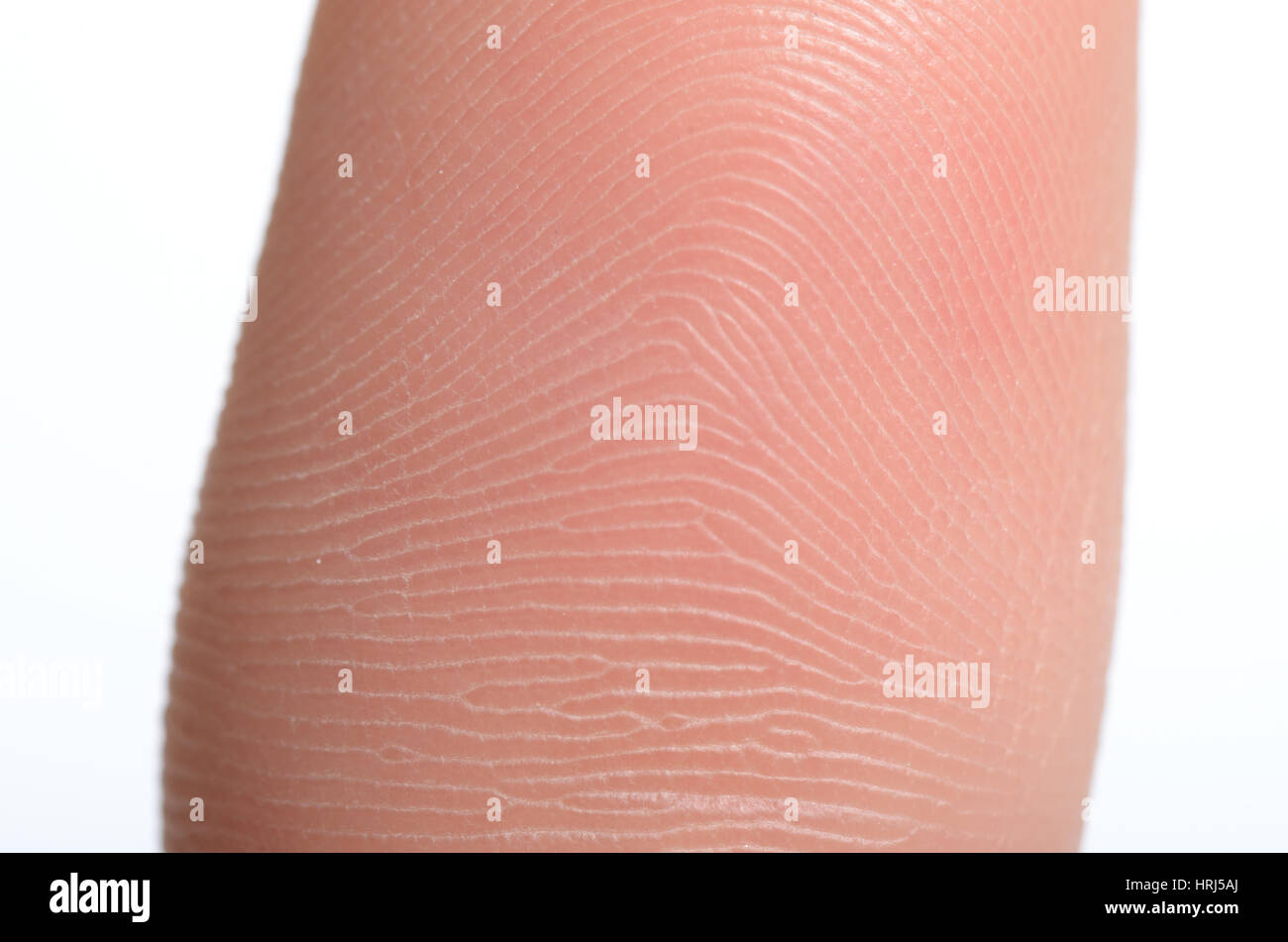 Fingerprint patterns hi-res stock photography and images - Alamy