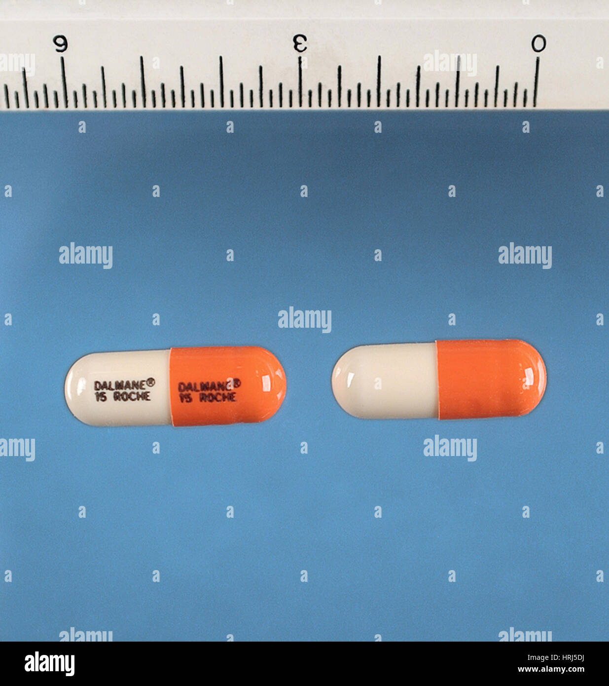 Dalmane hi-res stock photography and images - Alamy