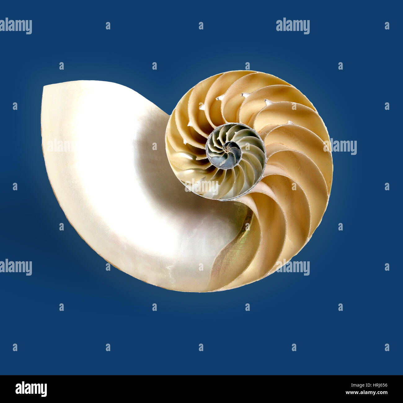 Logarithm background hi-res stock photography and images - Alamy