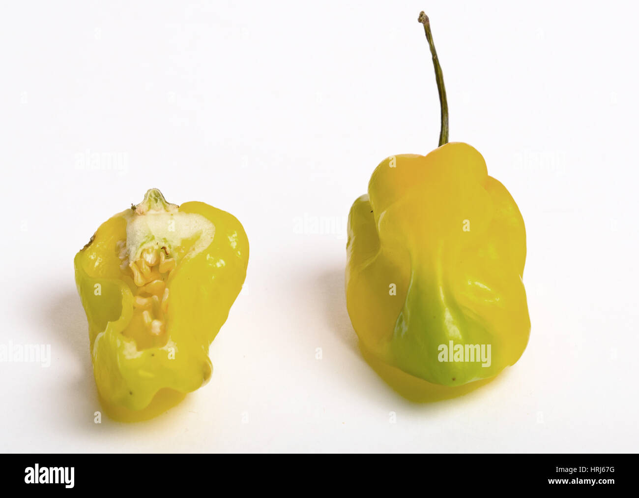 Habanero Chili Pepper Stock Photo - Alamy